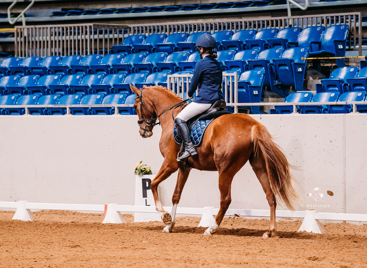 Hand Gallop – taking riding and life with extra pace