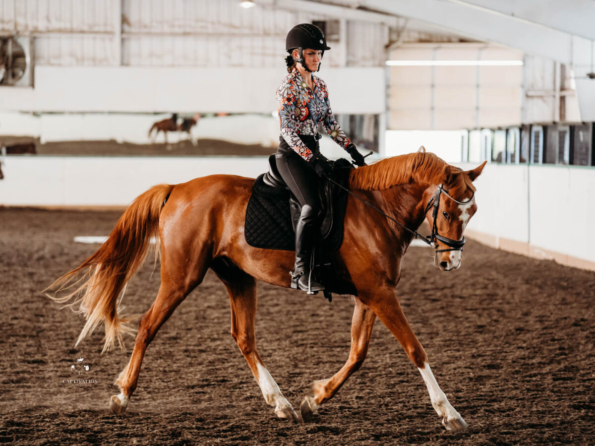 Hand Gallop – taking riding and life with extra pace