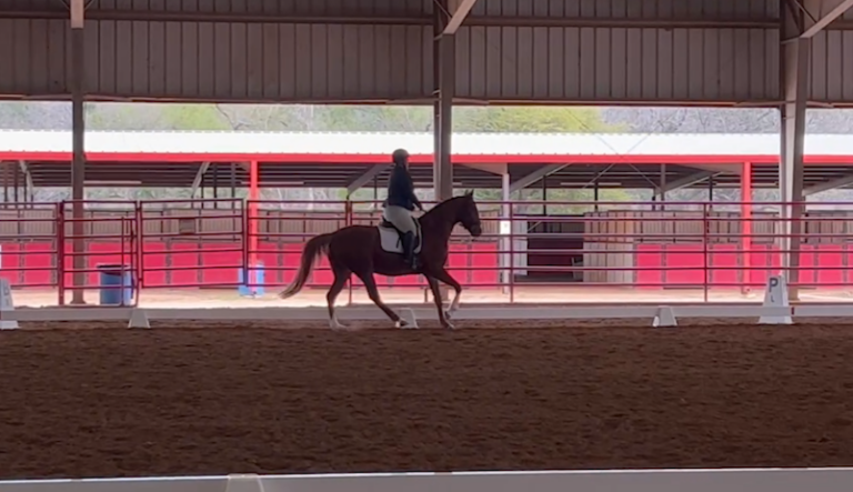 Hand Gallop – taking riding and life with extra pace