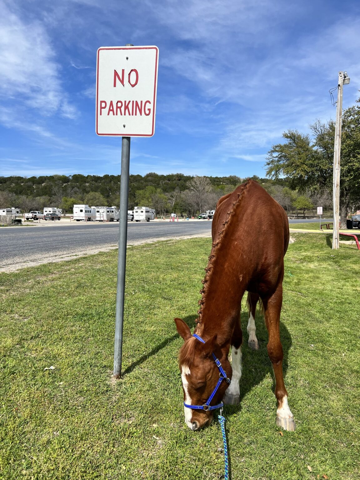 Hand Gallop – taking riding and life with extra pace