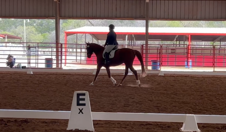 Hand Gallop – taking riding and life with extra pace