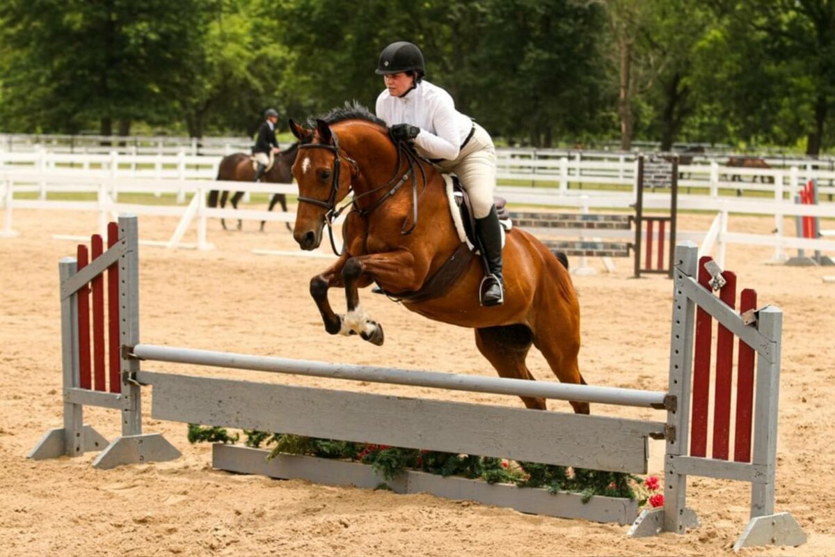Hand Gallop – taking riding and life with extra pace