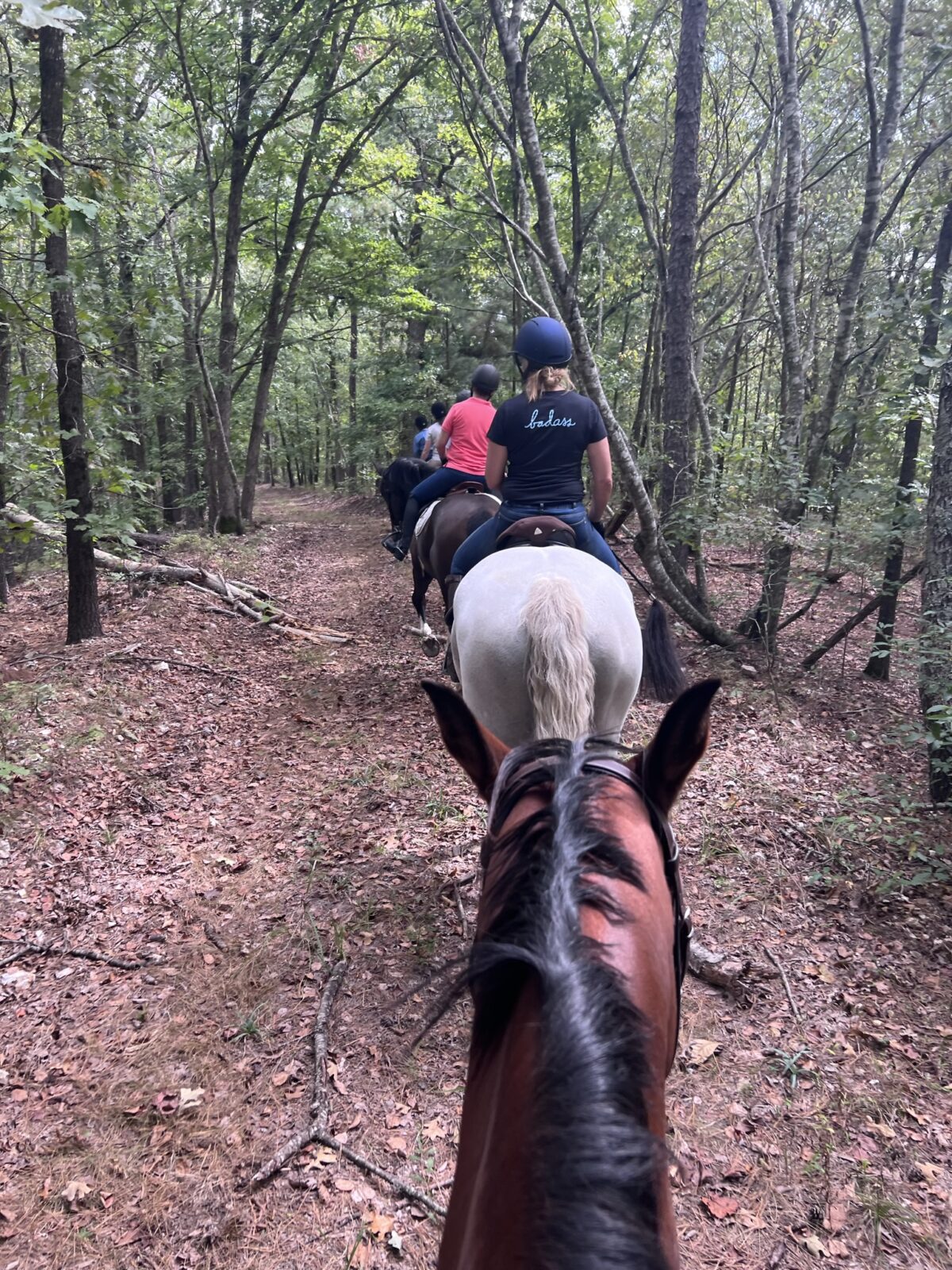 Hand Gallop – taking riding and life with extra pace