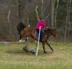 Hand Gallop – taking riding and life with extra pace