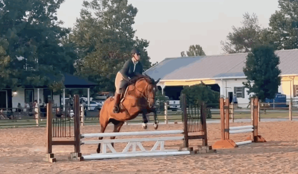 Hand Gallop – taking riding and life with extra pace